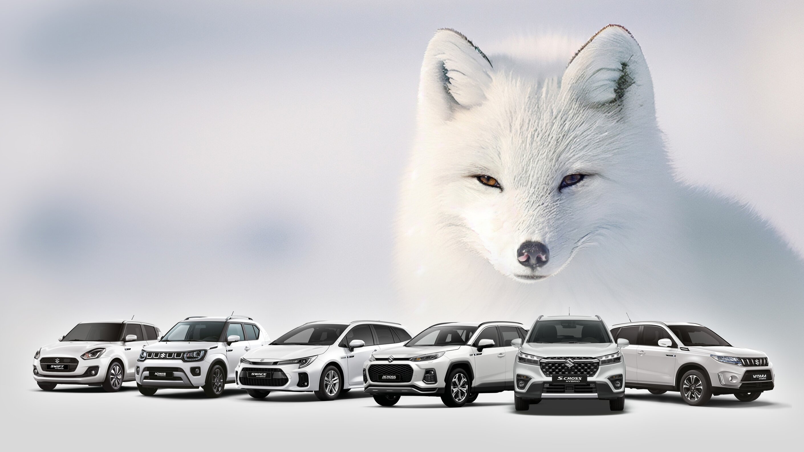 Die ECHTEN Suzuki Snowfox Sondermodelle sind da | Offizielle Website ...